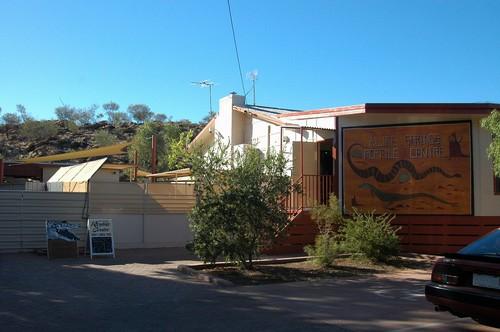 Explore Alice Springs Reptile Centre: A Must-See Spot